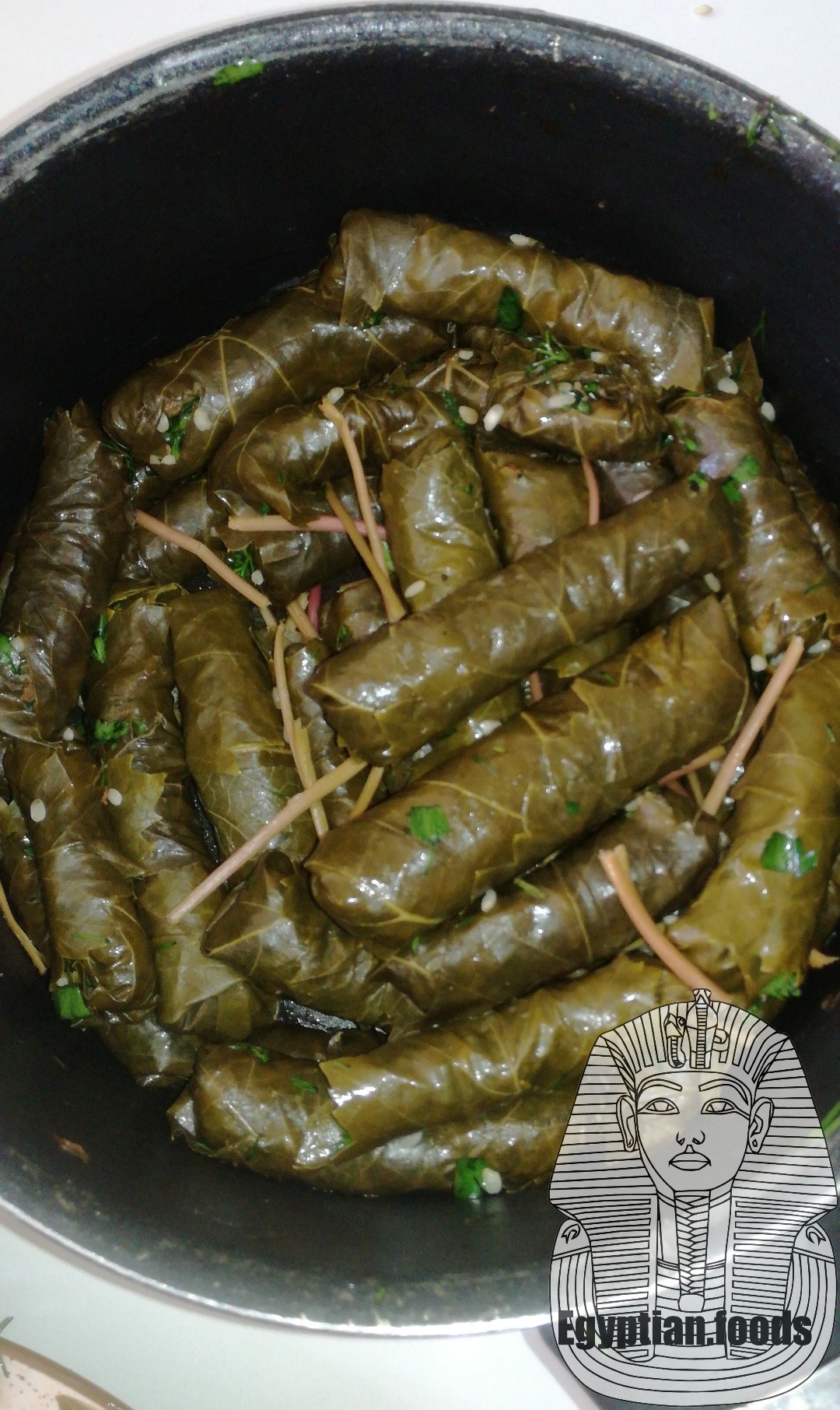 ♣ Mahchi wara 3enab ♣